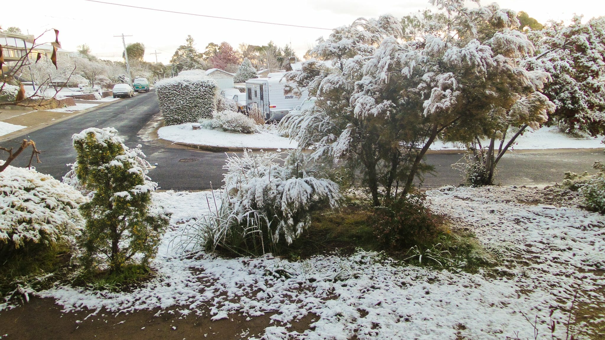 Snow (1 of 1) - Visit Cooma