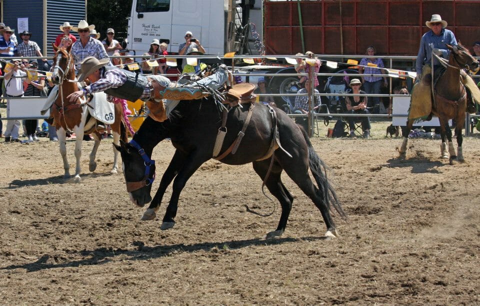 jindabyne rodeo2 - Visit Cooma