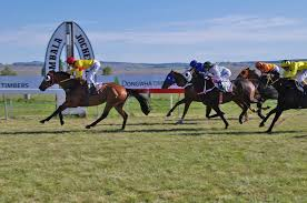 bombala races - Visit Cooma