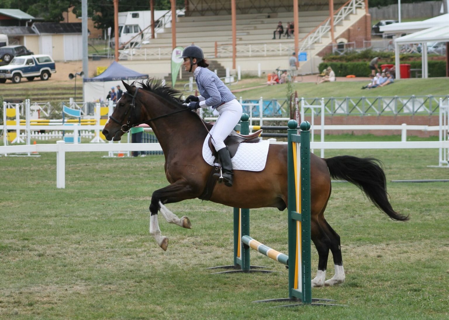 Cooma Spring Show Jumping Competition - Visit Cooma