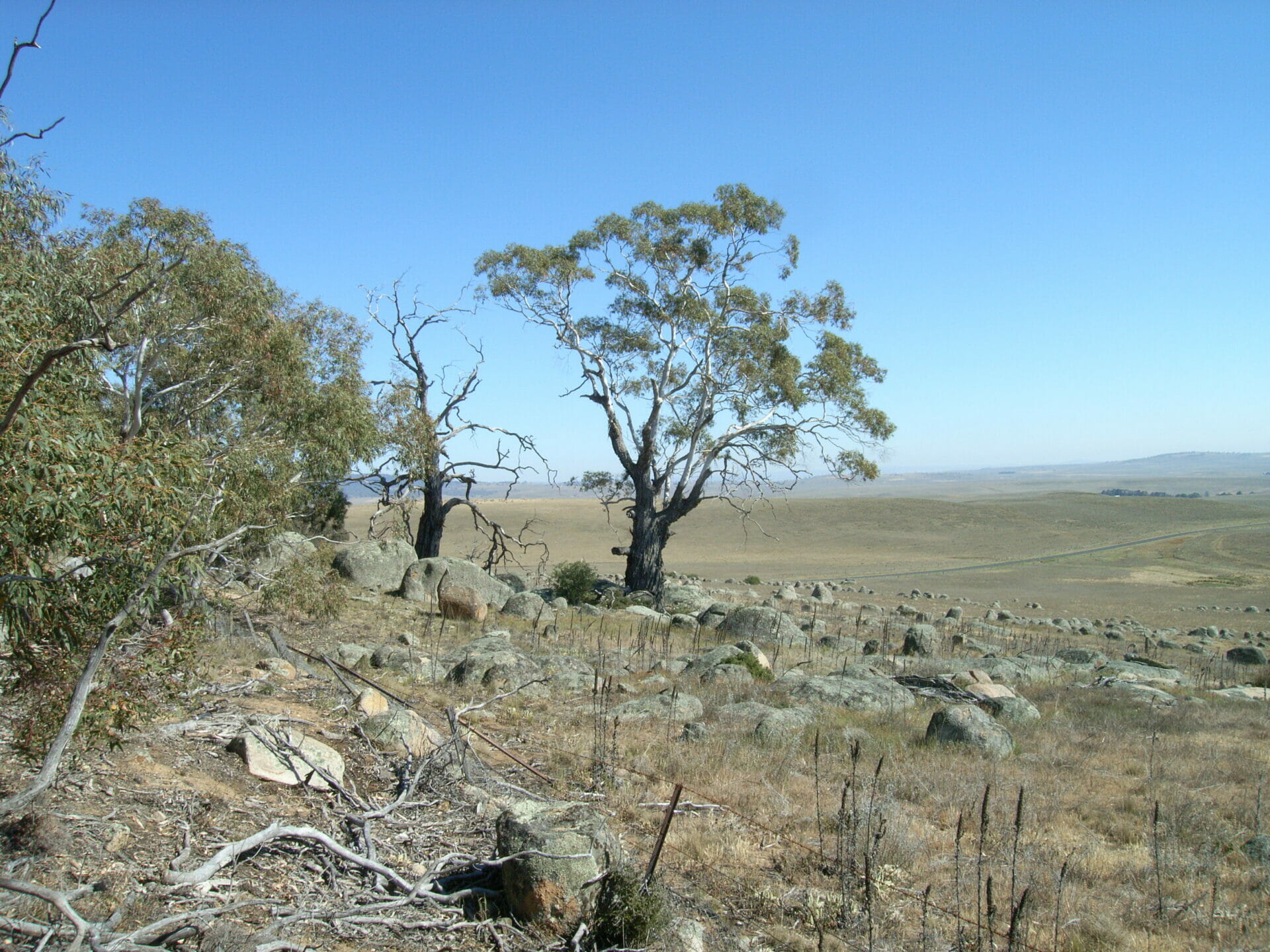 Images & Video - Visit Cooma