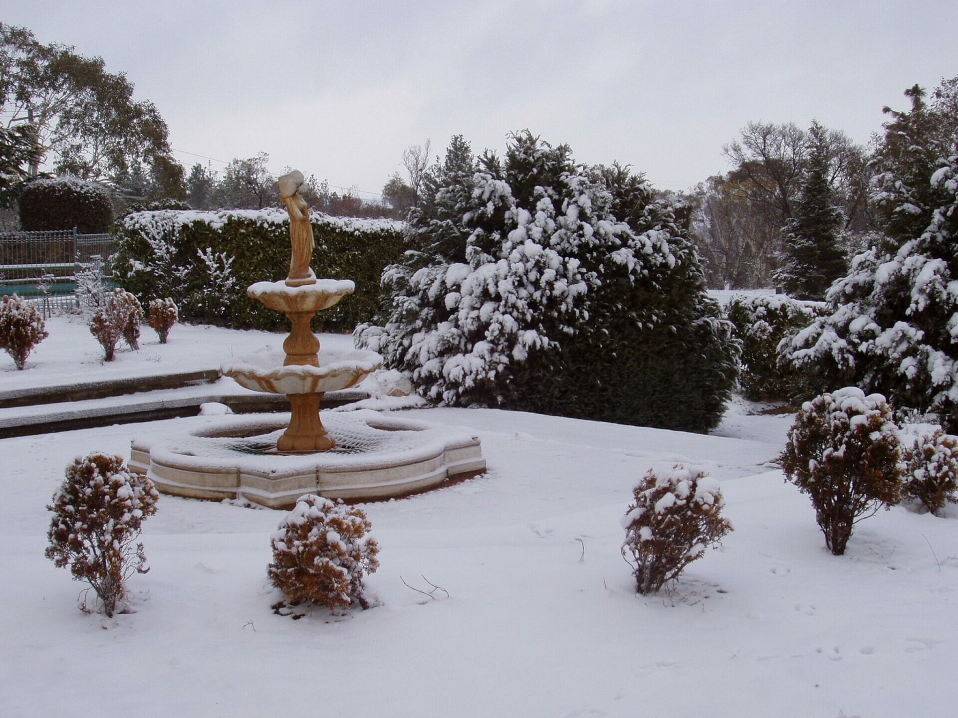 Images & Video - Visit Cooma