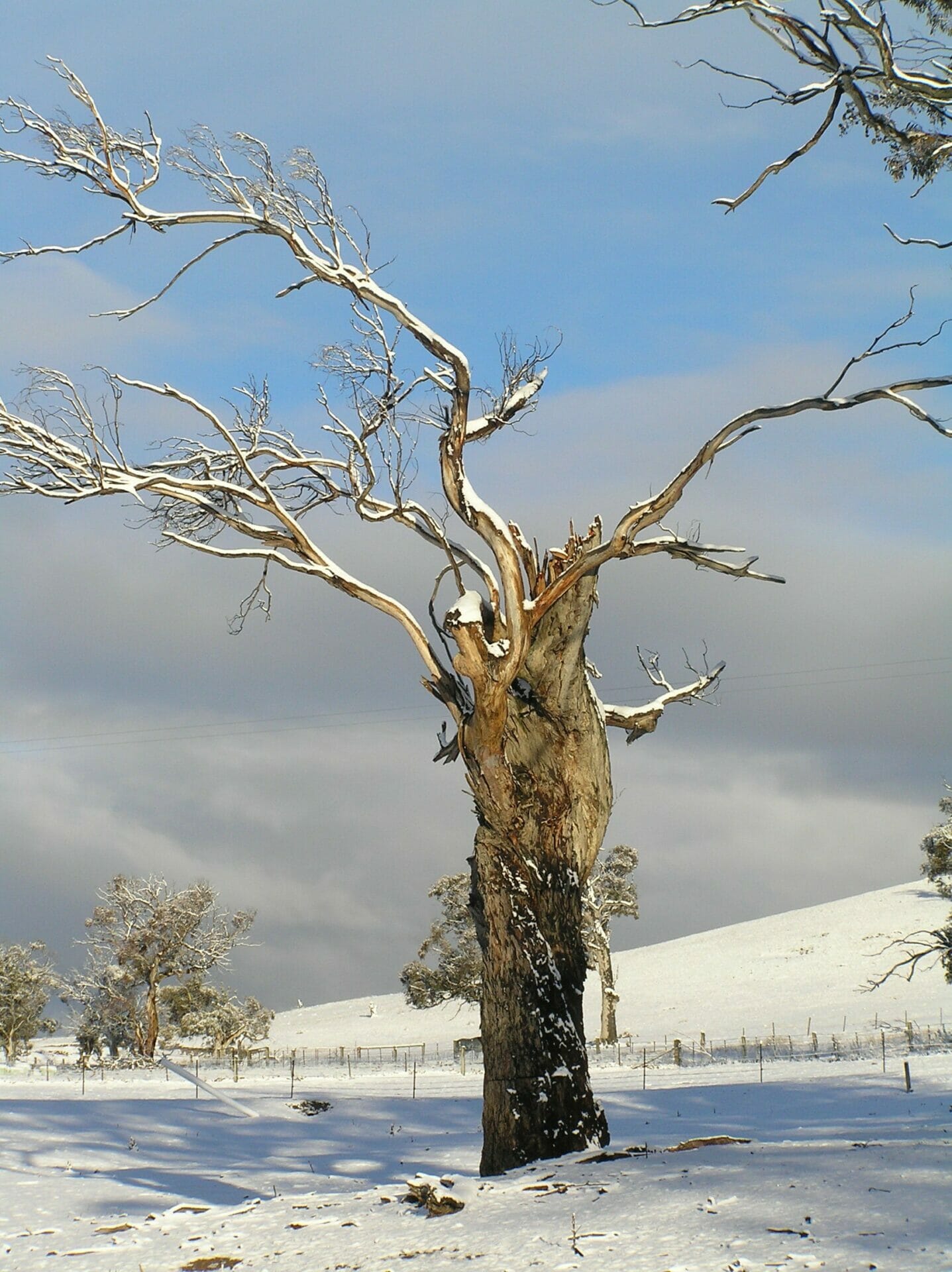 Images & Video - Visit Cooma