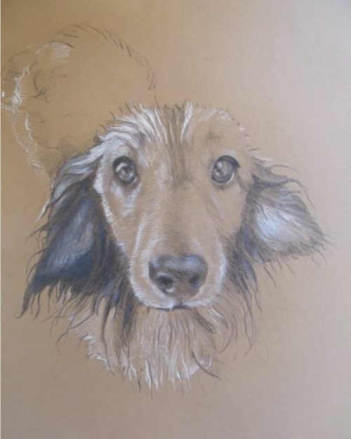 The Raglan Gallery Presents "Animals on the Monaro" - Visit Cooma