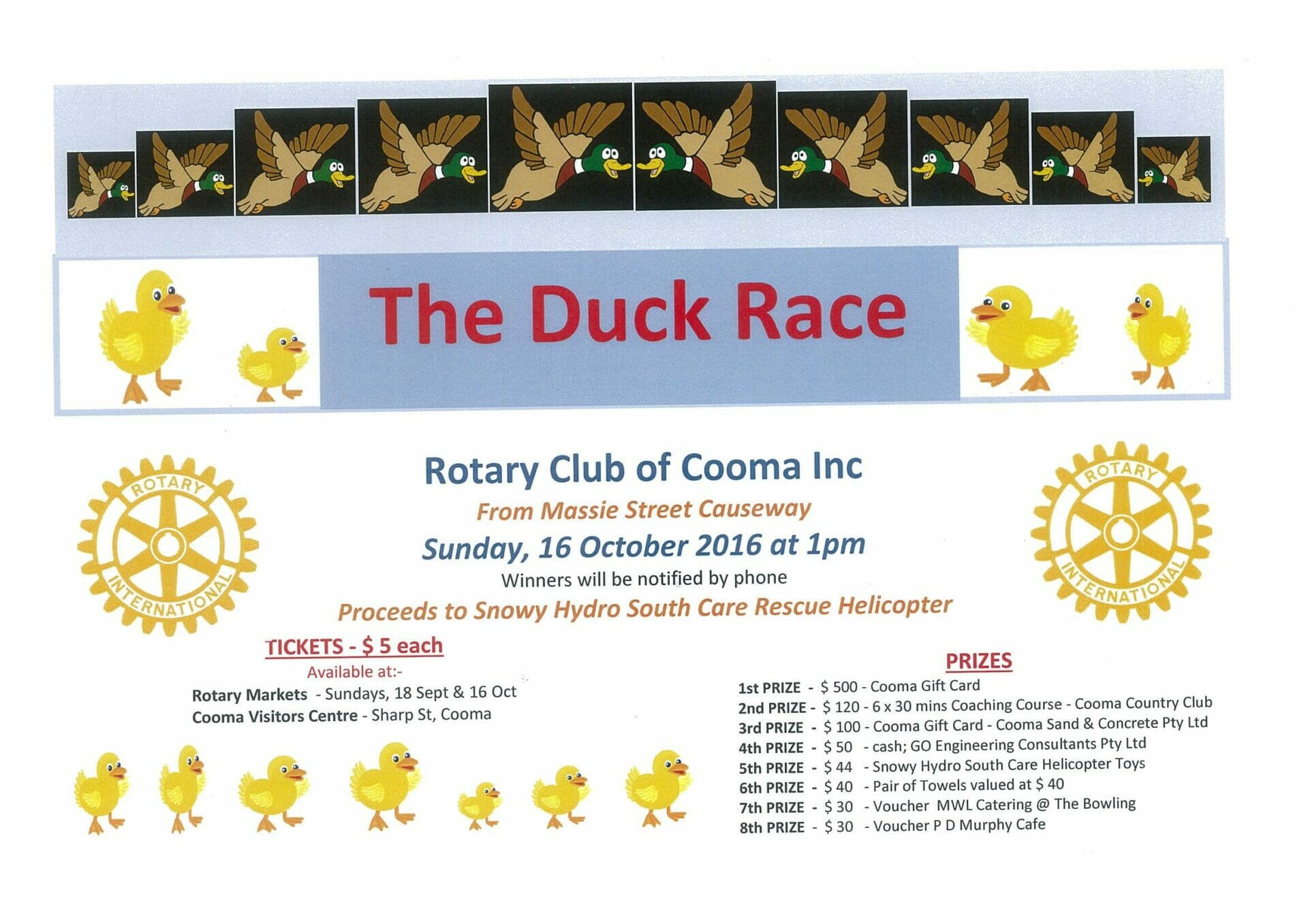 The Rotary Club of Cooma "Duck Race" - Visit Cooma