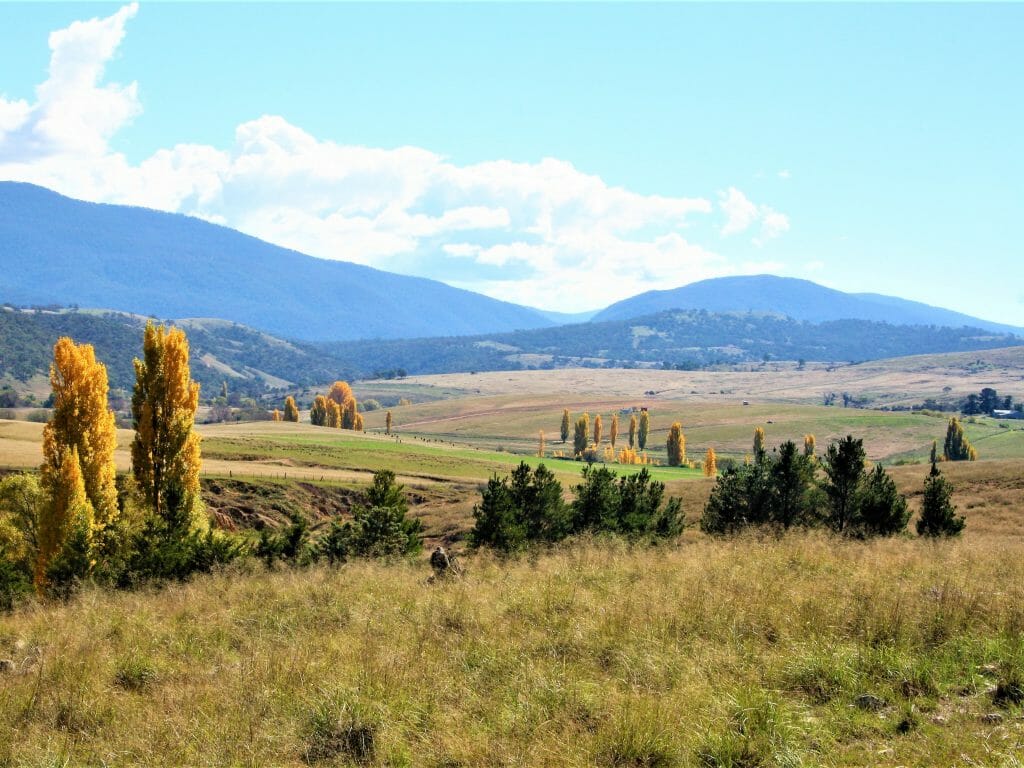 Bredbo Image - Visit Cooma
