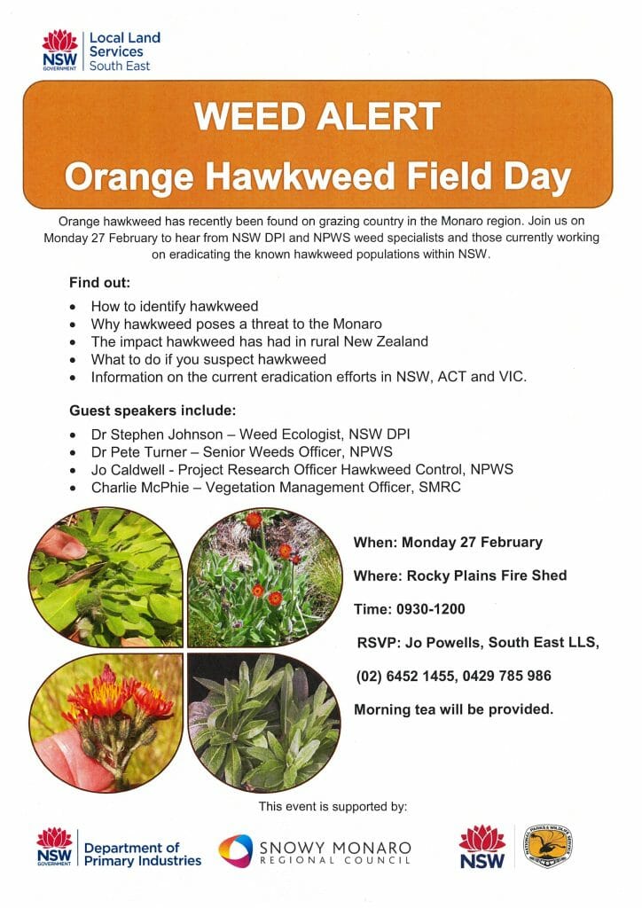 Weed Alert: Orange Hawkweed Field Day - Visit Cooma