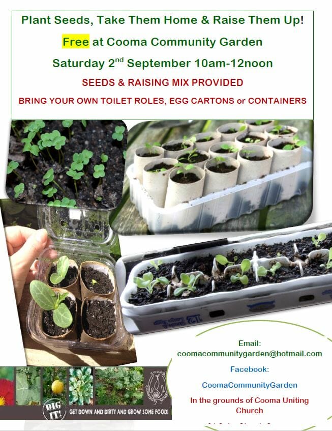 Plant seeds, take them home & raise them up - Free at Cooma Community ...