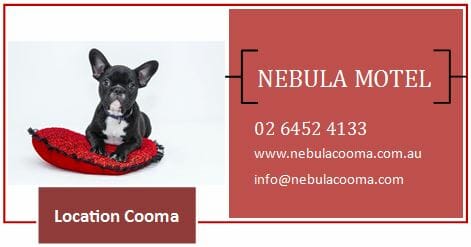 Dog Friendly Accommodation - Visit Cooma - Snowy Mountains