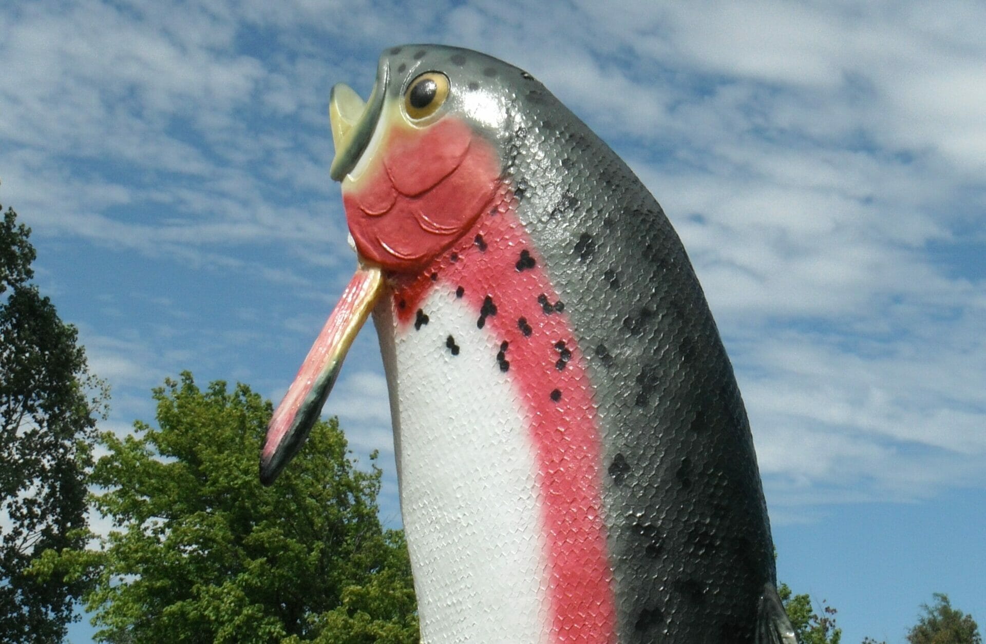 Adaminaby & Eucumbene - Snowy Mountains - Visit Cooma