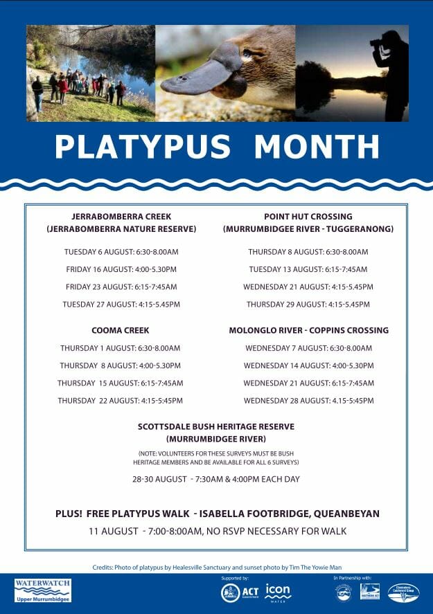 Platypus Month - Volunteer Platypus Surveys - Visit Cooma