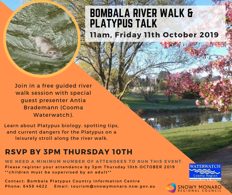 Platypus Walk and Talk for Platypus Month! - Visit Cooma