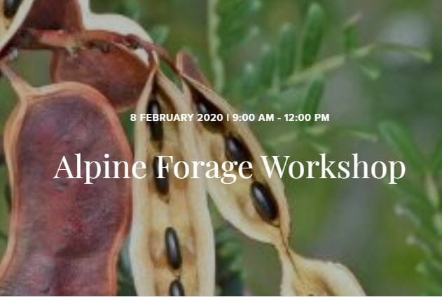 Alpine Forage Workshop - Visit Cooma