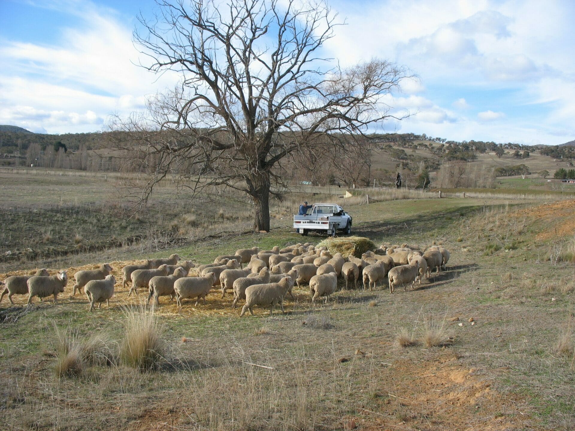 Images & Video - Visit Cooma