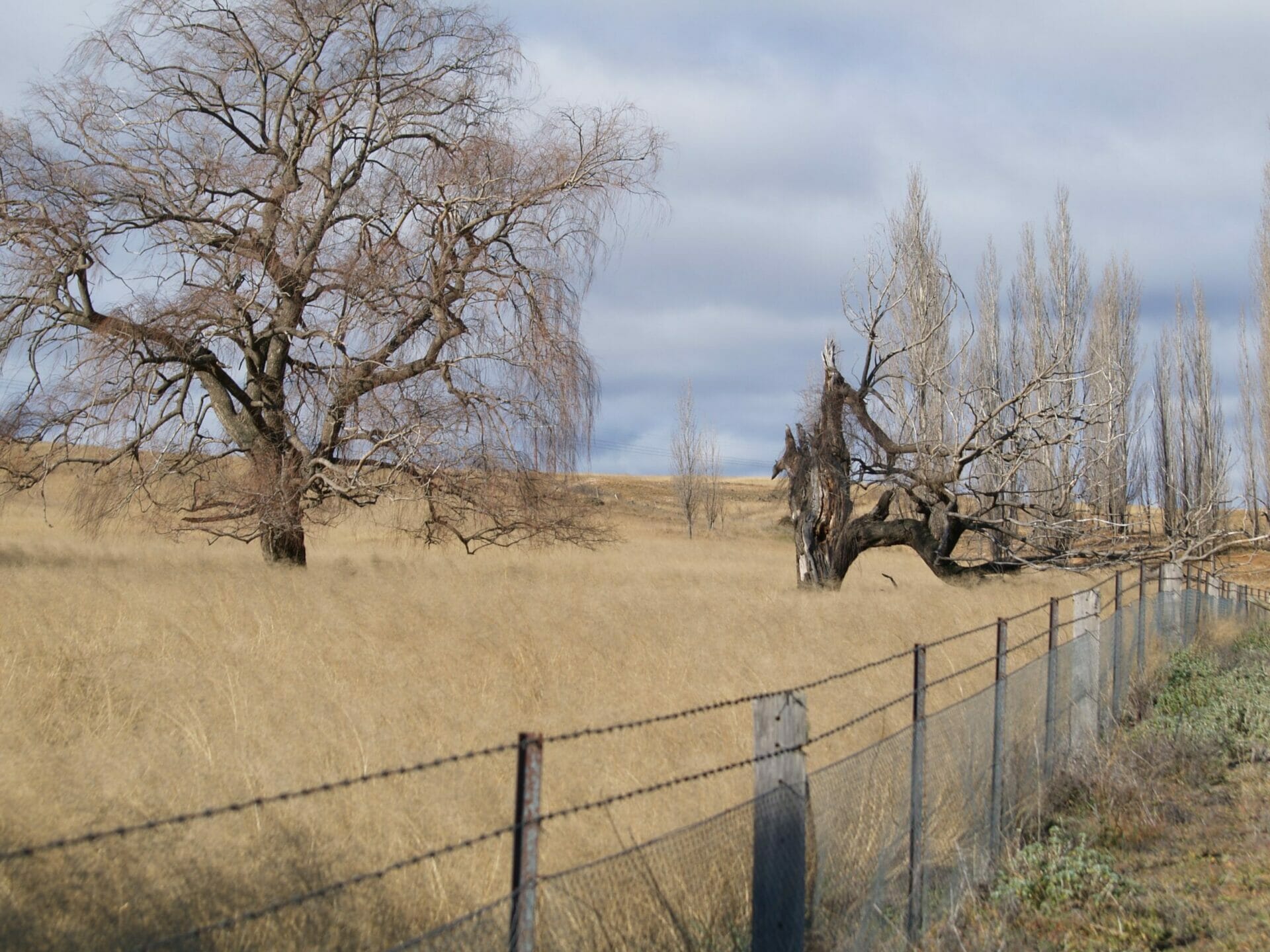 Images & Video - Visit Cooma