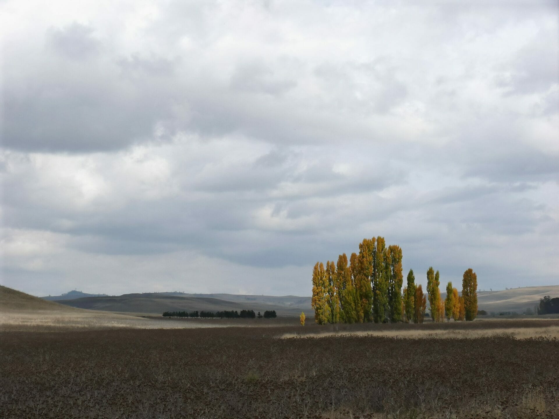 Images & Video - Visit Cooma