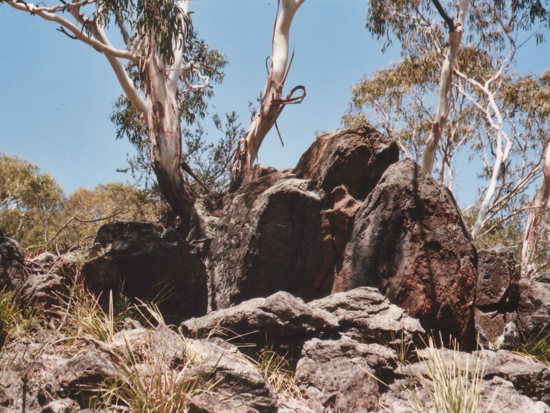 Images & Video - Visit Cooma