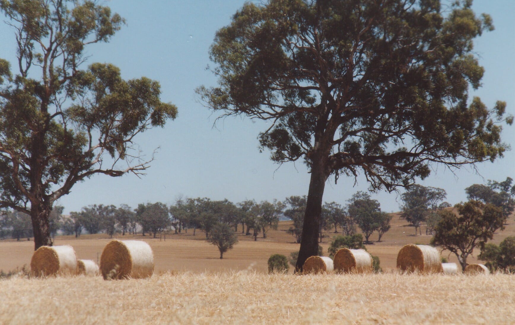 Images & Video - Visit Cooma