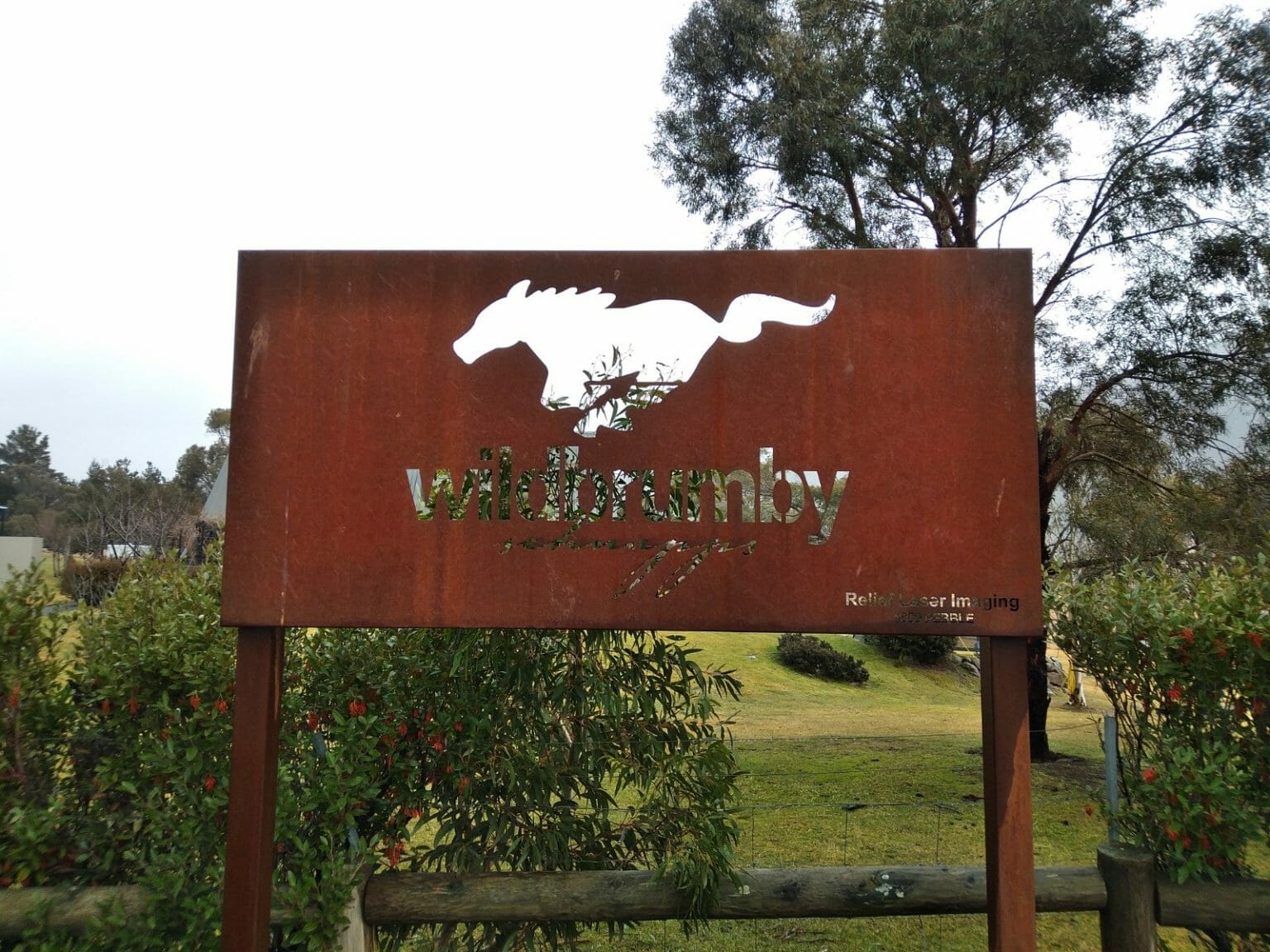Wild Brumby Sign - Visit Cooma