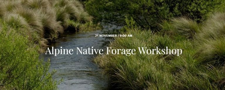Alpine Native Forage Workshop - Visit Cooma
