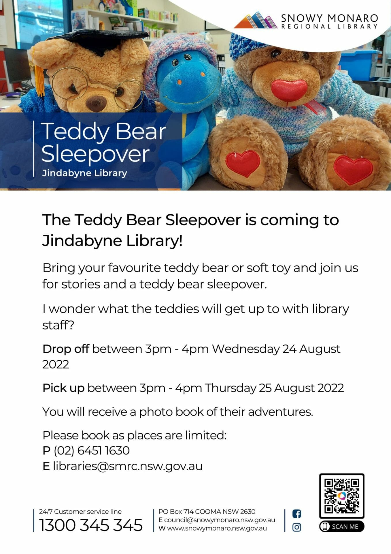 Teddy Bear Sleepover - Visit Cooma