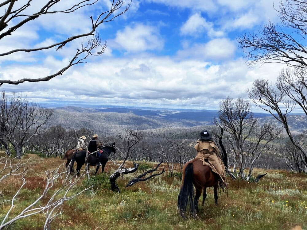 Horse Riding - Australian Saddle Safaris - Visit Cooma