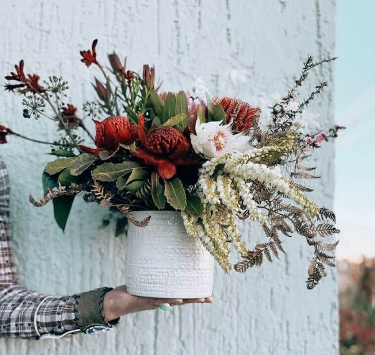 Botanical Pot Workshop - Thorn and Snow Flowers - Visit Cooma